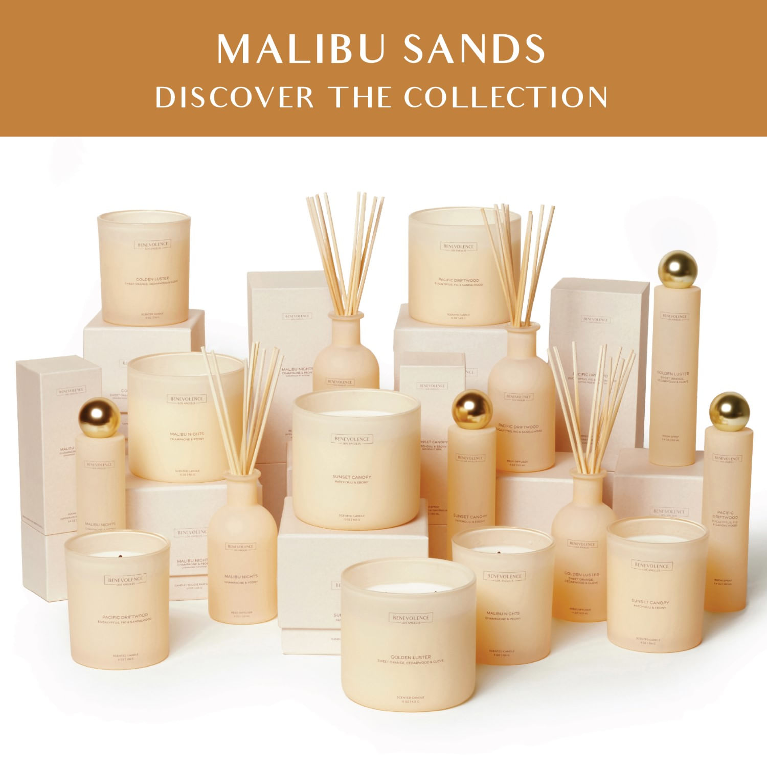 Malibu Sands - Golden Luster Reed Diffuser | Cosmopolitan Shop