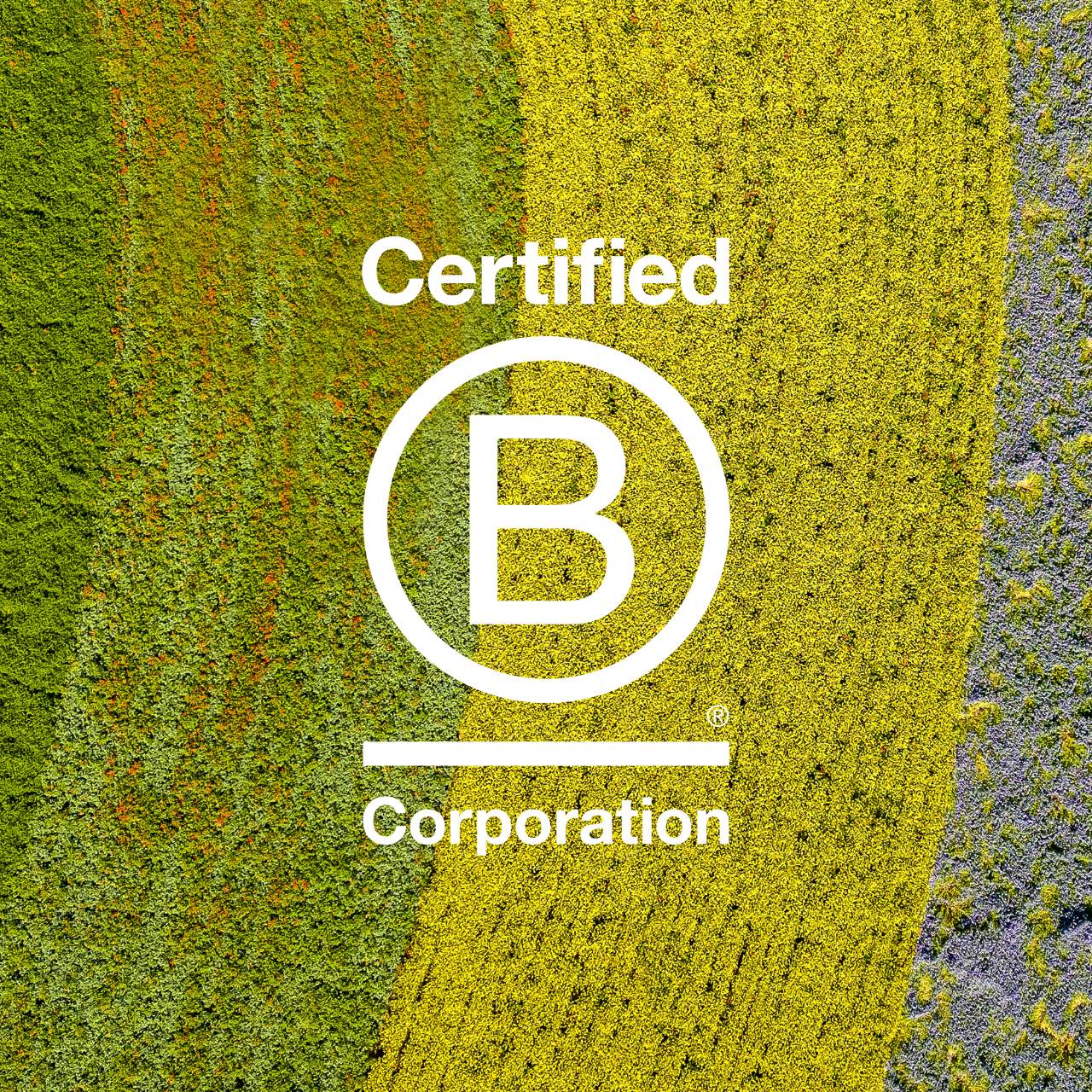 Hair Refresher | Cosmopolitan Shop