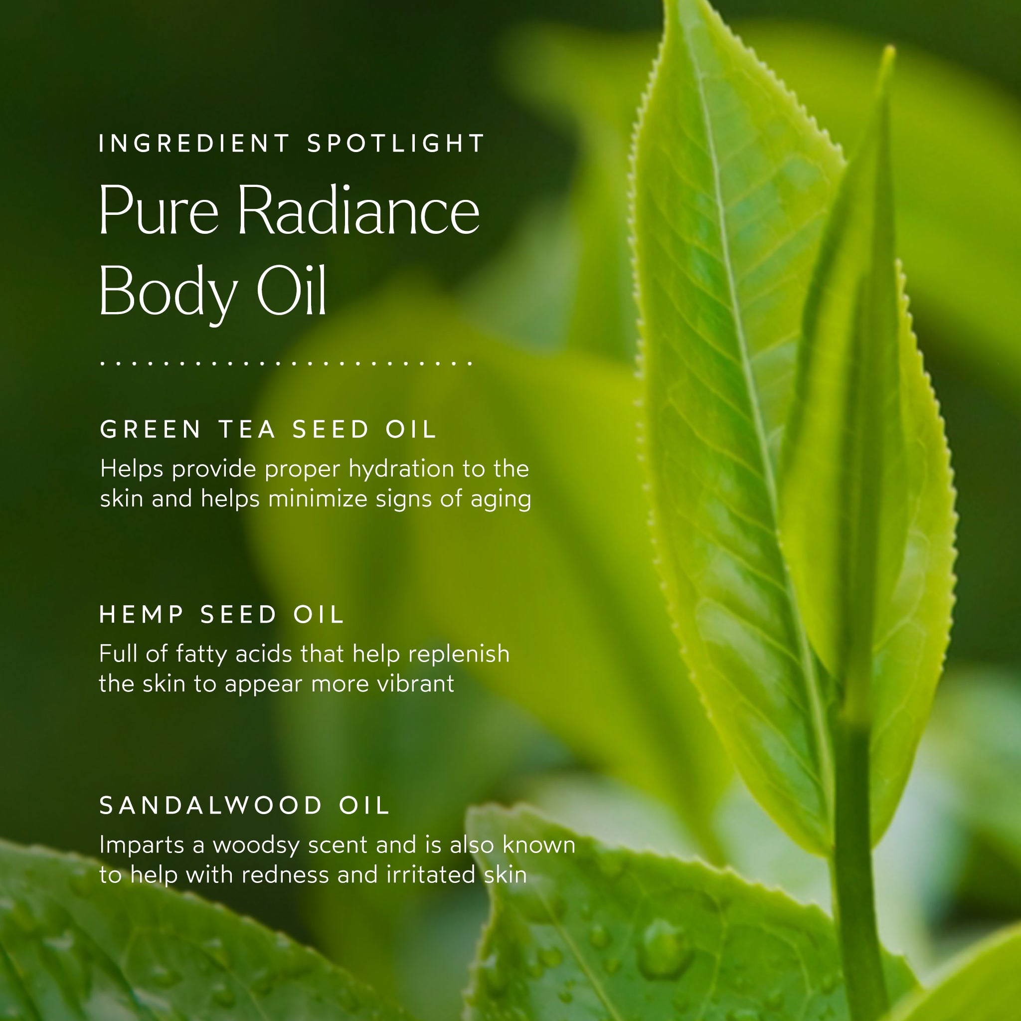 Pure Radiance Body Oil | Cosmopolitan Shop