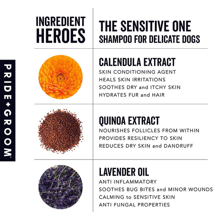 The Sensitive One - 12 Oz | Cosmopolitan Shop