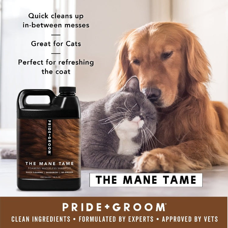 The Mane Tame | Cosmopolitan Shop
