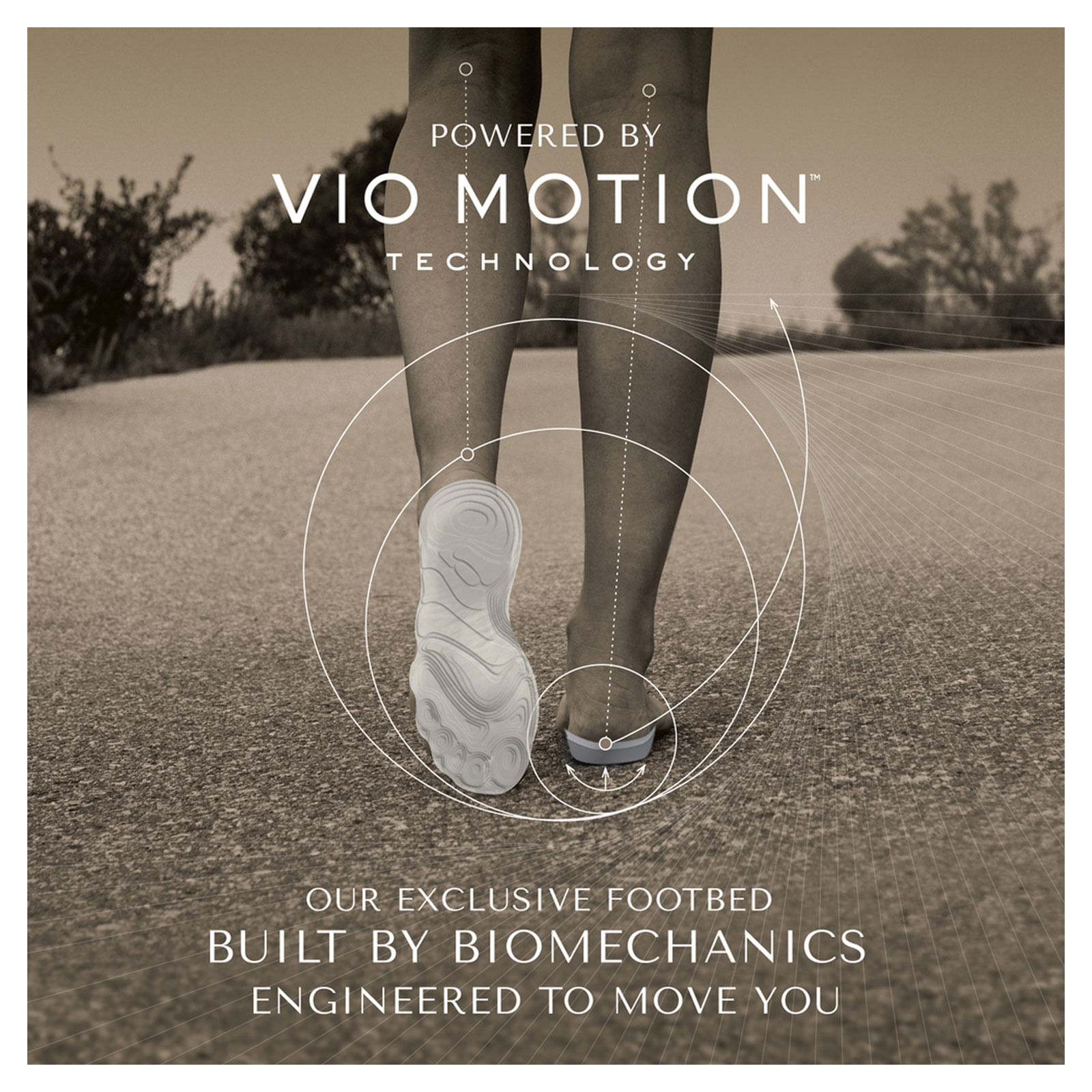 Women's Vionic, Carmela Toe Post Sandal | Cosmopolitan Shop